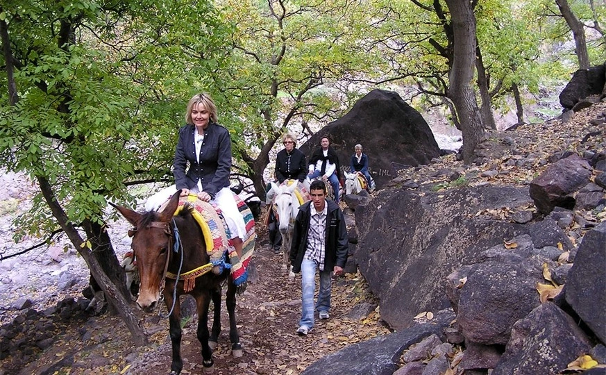 Exclusive 1 Day Trek Imlil Valley | Top 2025